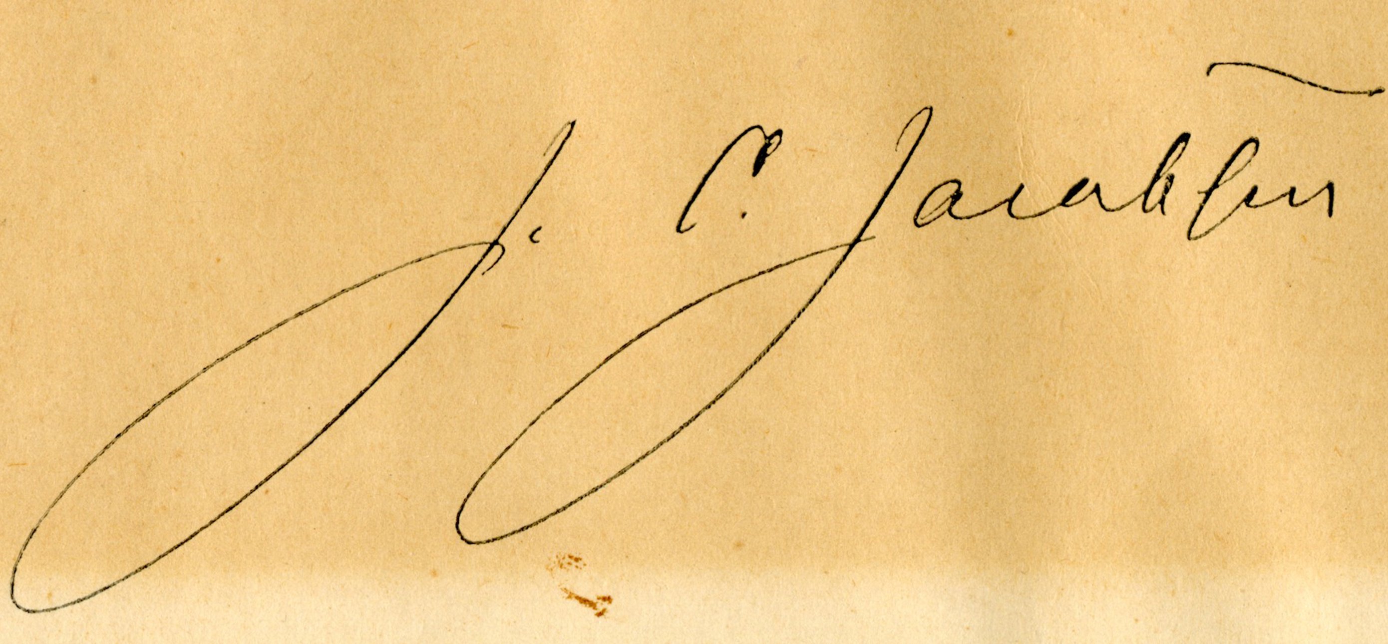 The Carlsberg Foundation